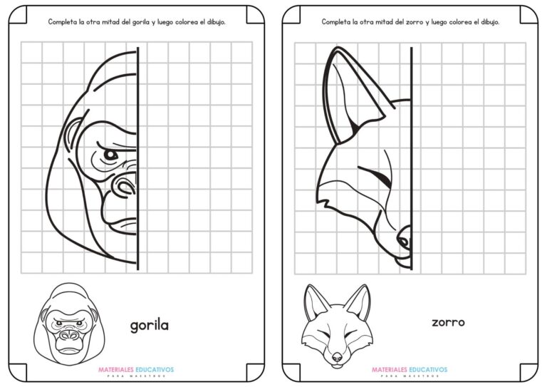 Que es Simetria: Ejercicios Practicos - Materiales Educativos Para Maestros