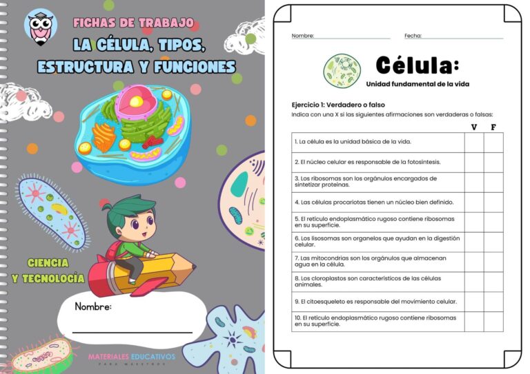 que es la celula: Fichas de Trabajo - Materiales Educativos Para Maestros